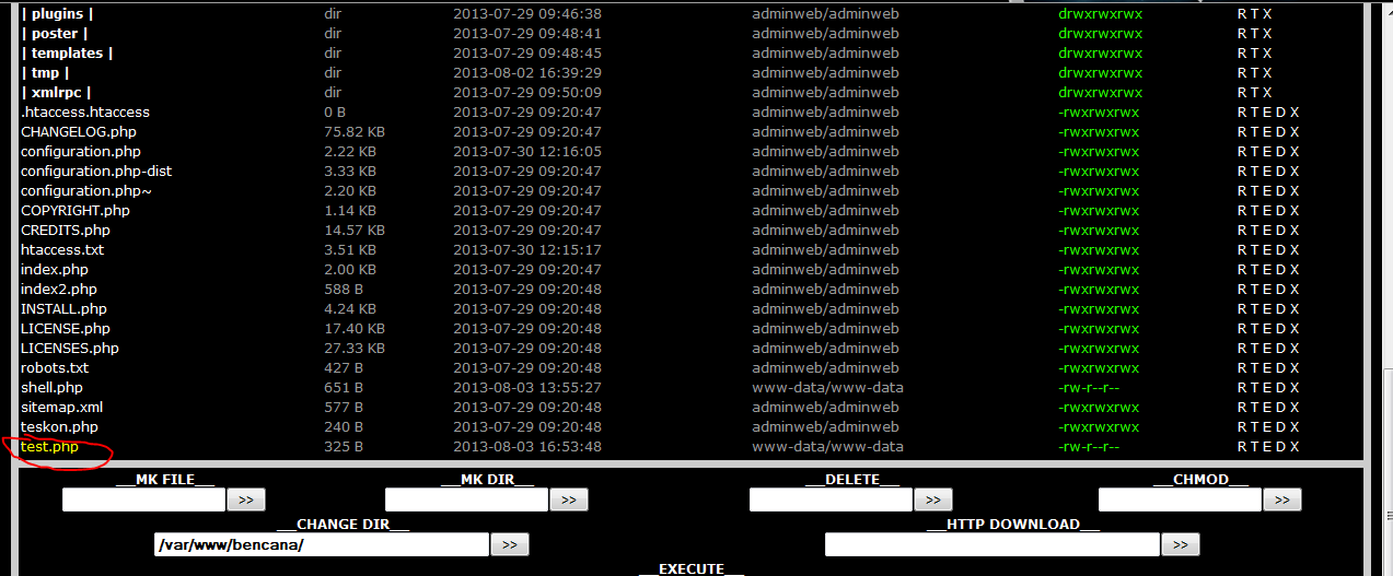 Cara backconnect ke server untuk melakukan root server | EGYSHARED | Sharing And Download Free & Pro