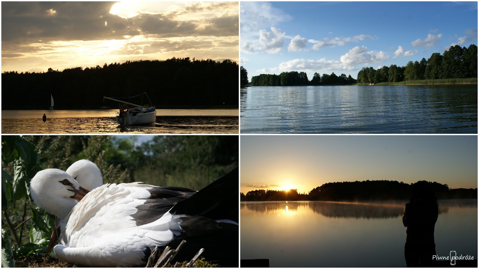 Browar Kormoran od podszewki - Piwne podróże