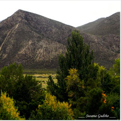 De viaje por Argentina: La historia del Festival Nacional de la Tonada ...