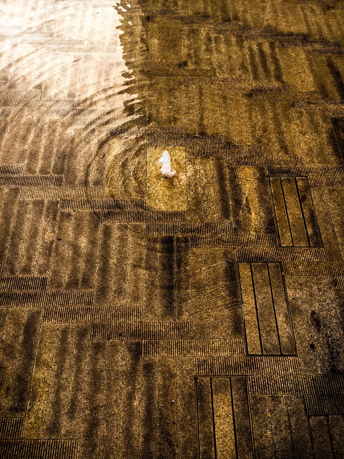 8 Best Photos of Framing and Composition