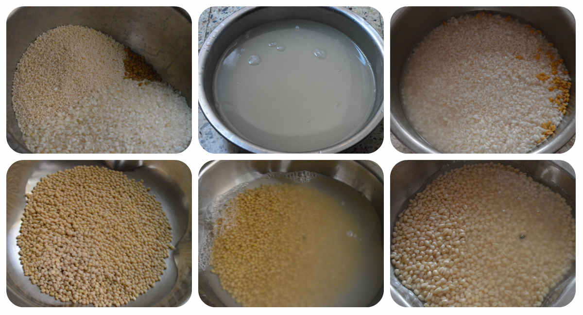 Upala: Varagarisi/Kodo millet Idli