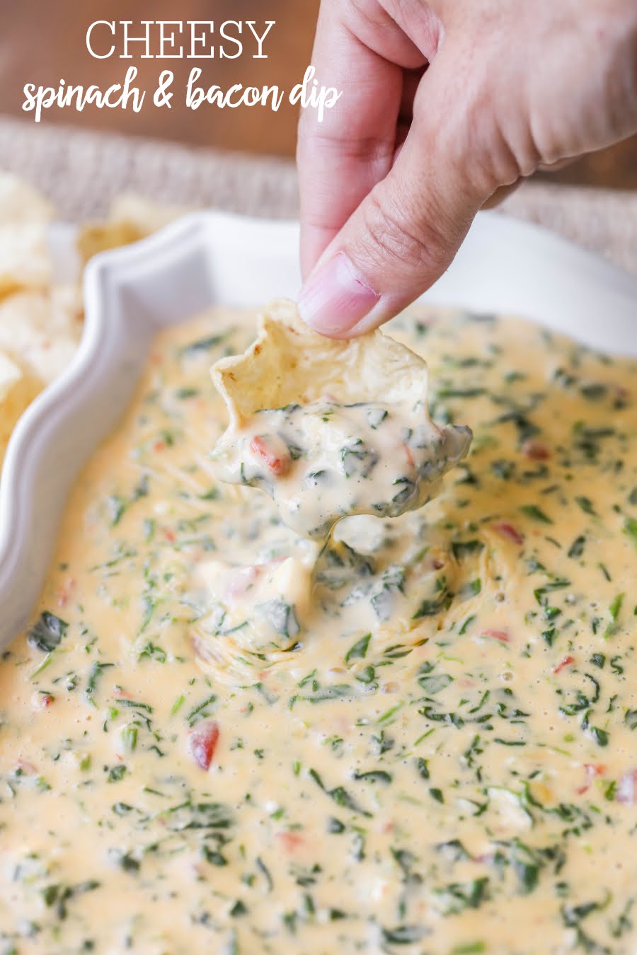 Cuisine Village: Easy Cheesy Spinach Dip