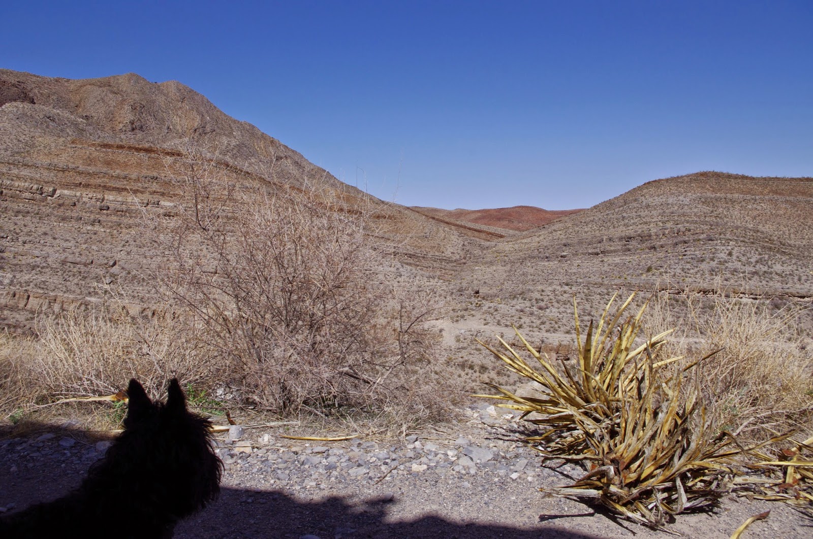 Southern New Mexico Explorer: Palomas Gap - Caballo Mountains