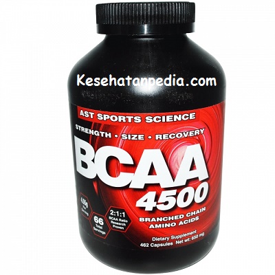 Suplemen Fitnes untuk Pemula Terbaik yang Cocok - kesehatanpedia