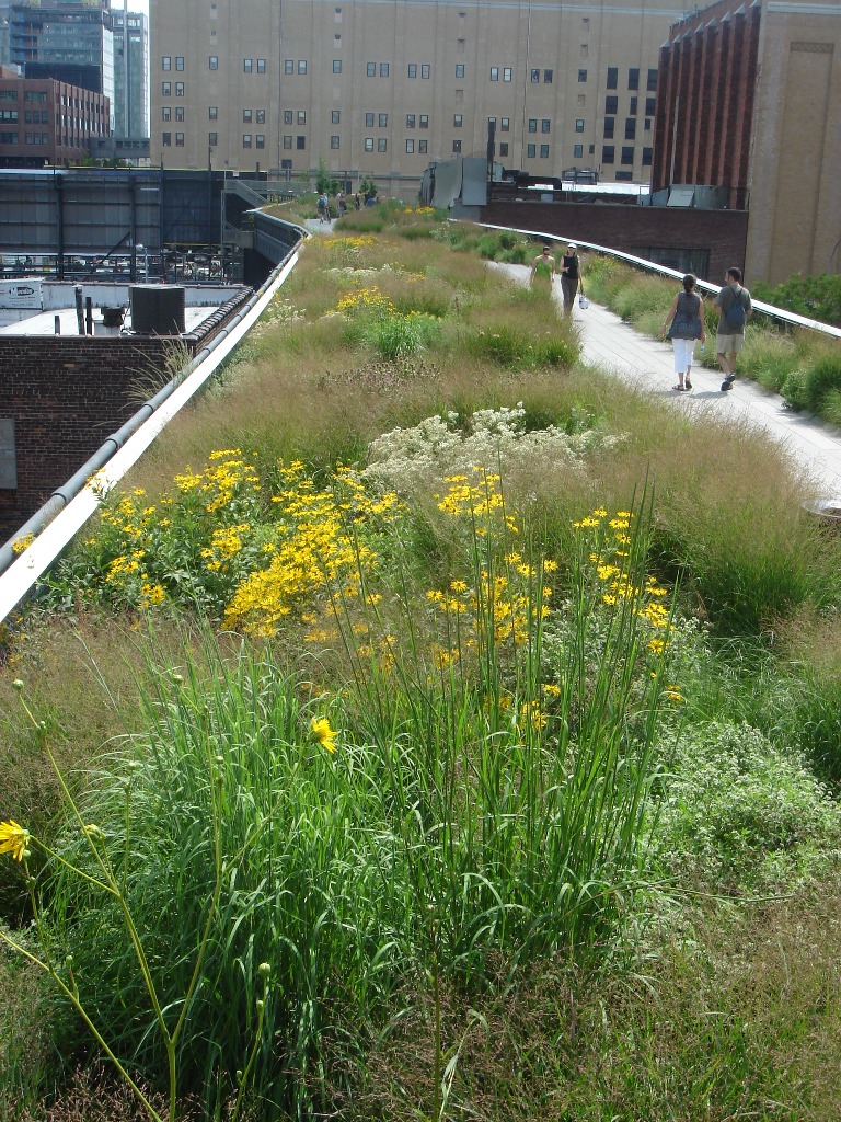 Critical Cities: The High Line