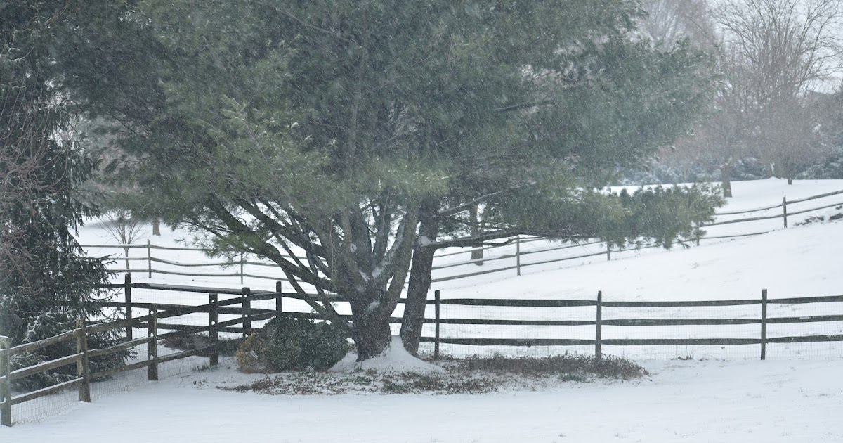 Live and Learn-Toss and Turn: Spring