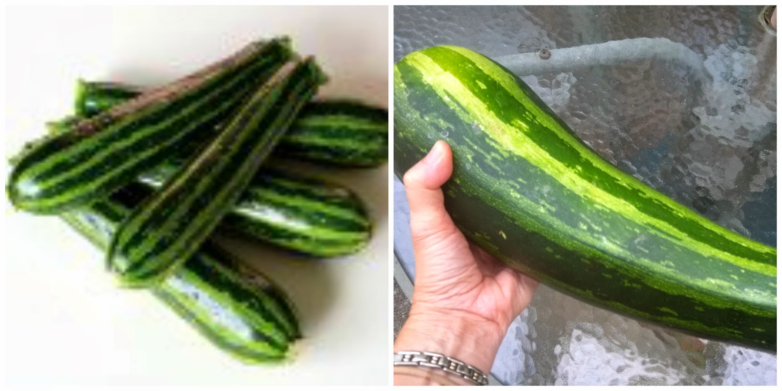 Livin' In The Green: How Did They Grow? Reviewing Five New Garden ...