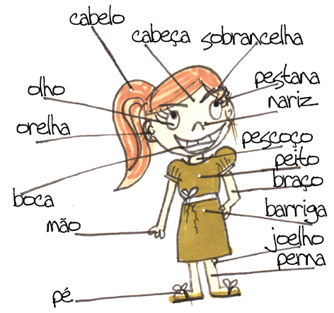 Private Brazilian Portuguese Teacher : PARTES DO CORPO ( PARTS OF THE ...