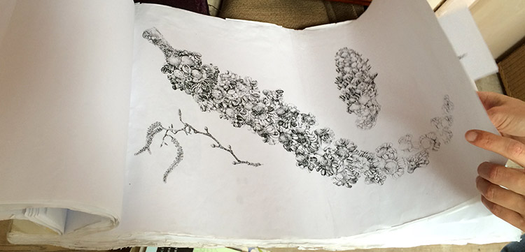 CLARE MITTEN: Research/Studio Visit: Sarah Simblet