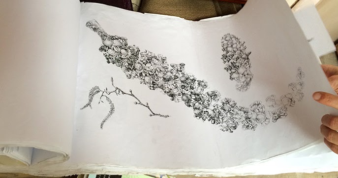 CLARE MITTEN: Research/Studio Visit: Sarah Simblet