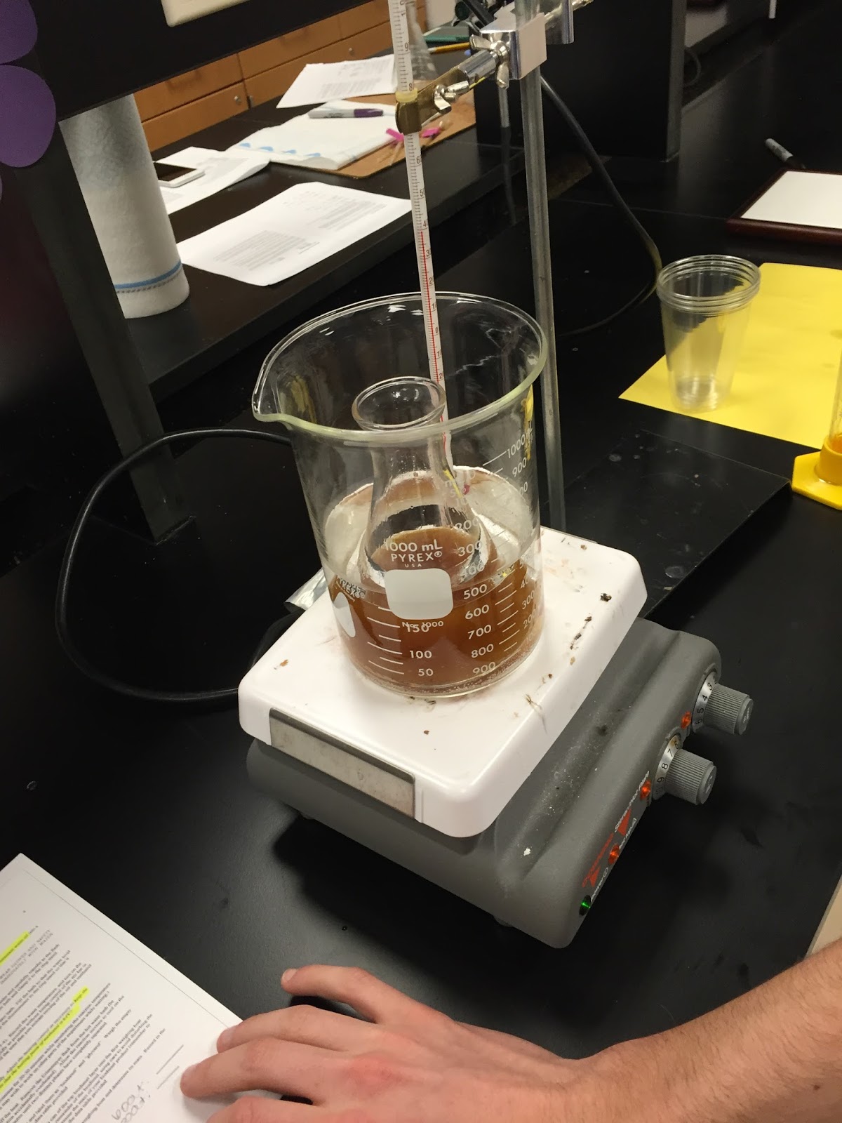 Avery's Pre-AP Chem Blog: Biodiesel Lab