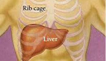 Apa itu Liver, Kuning, Hepatitis A, B, C, D, E, F, G - Liver, Kuning ...