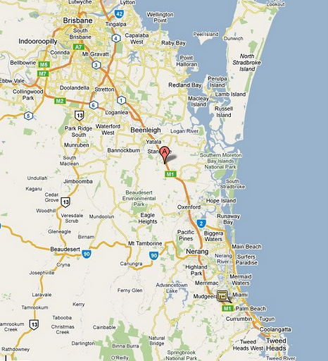 Veteran Tree Group Australia: Brachychiton sp. Ormeau