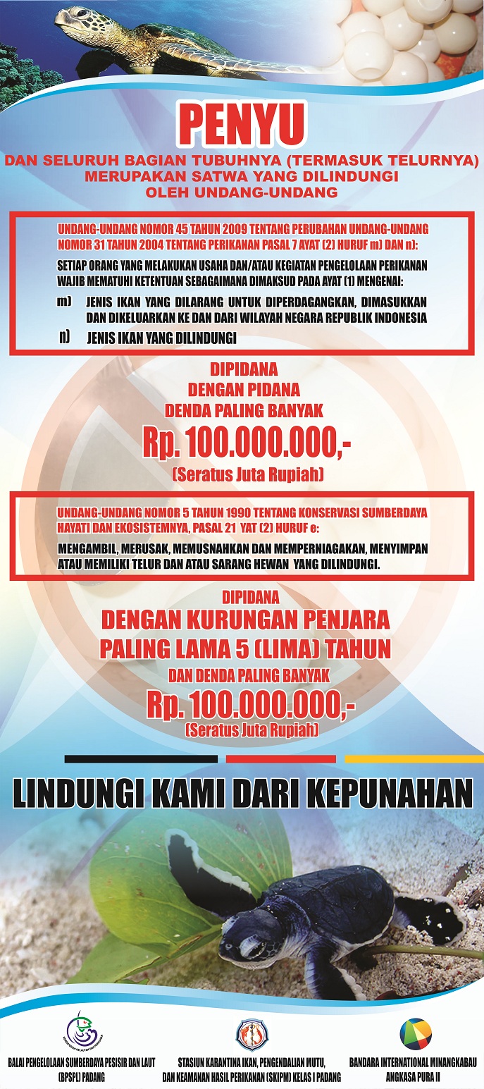 KOMUNITAS PENYULUH PERIKANAN: MENGENAL DAN MELESTARIKAN PENYU