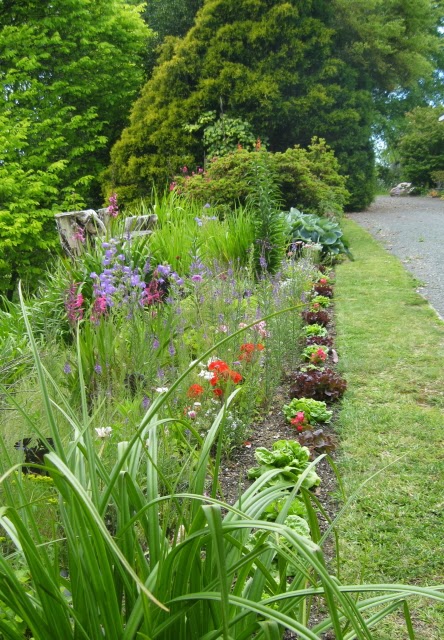 Quiltingorchardist: Freshly Mown Lawn Sets it All Off.