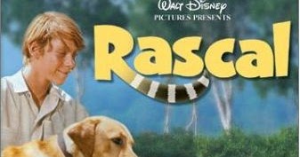 TÓMBOLA DISNEY: Mi amigo Rascal