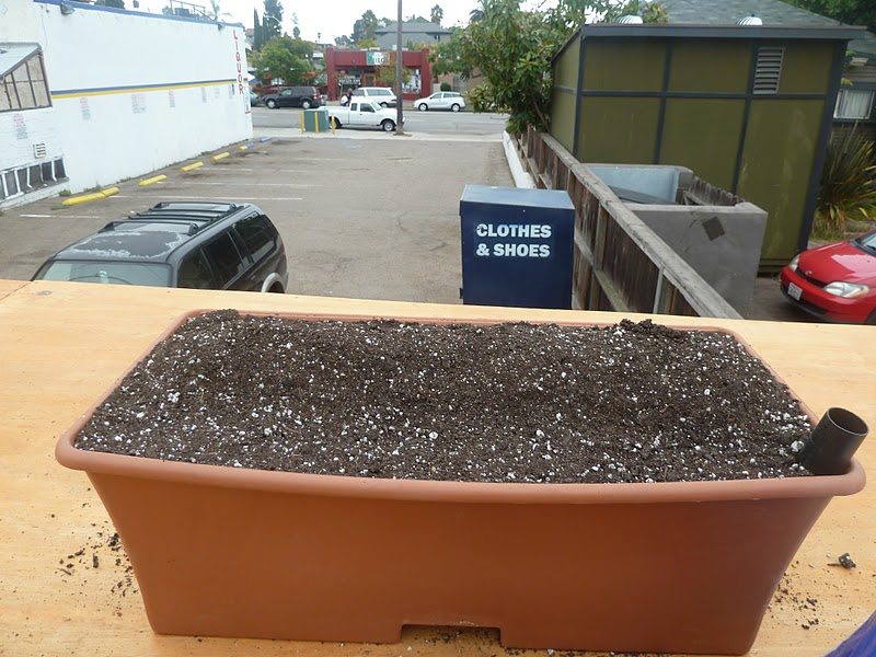 Gidget's Garden: Another look at how to replant an EarthBox