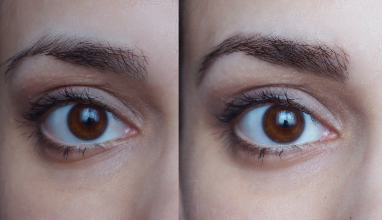 Beautifulogy: Make up Basics: Todo sobre las cejas