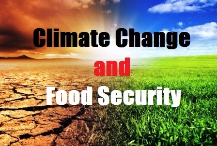 Thoughts to Promote Positive Action...: Climate Change and Food Security