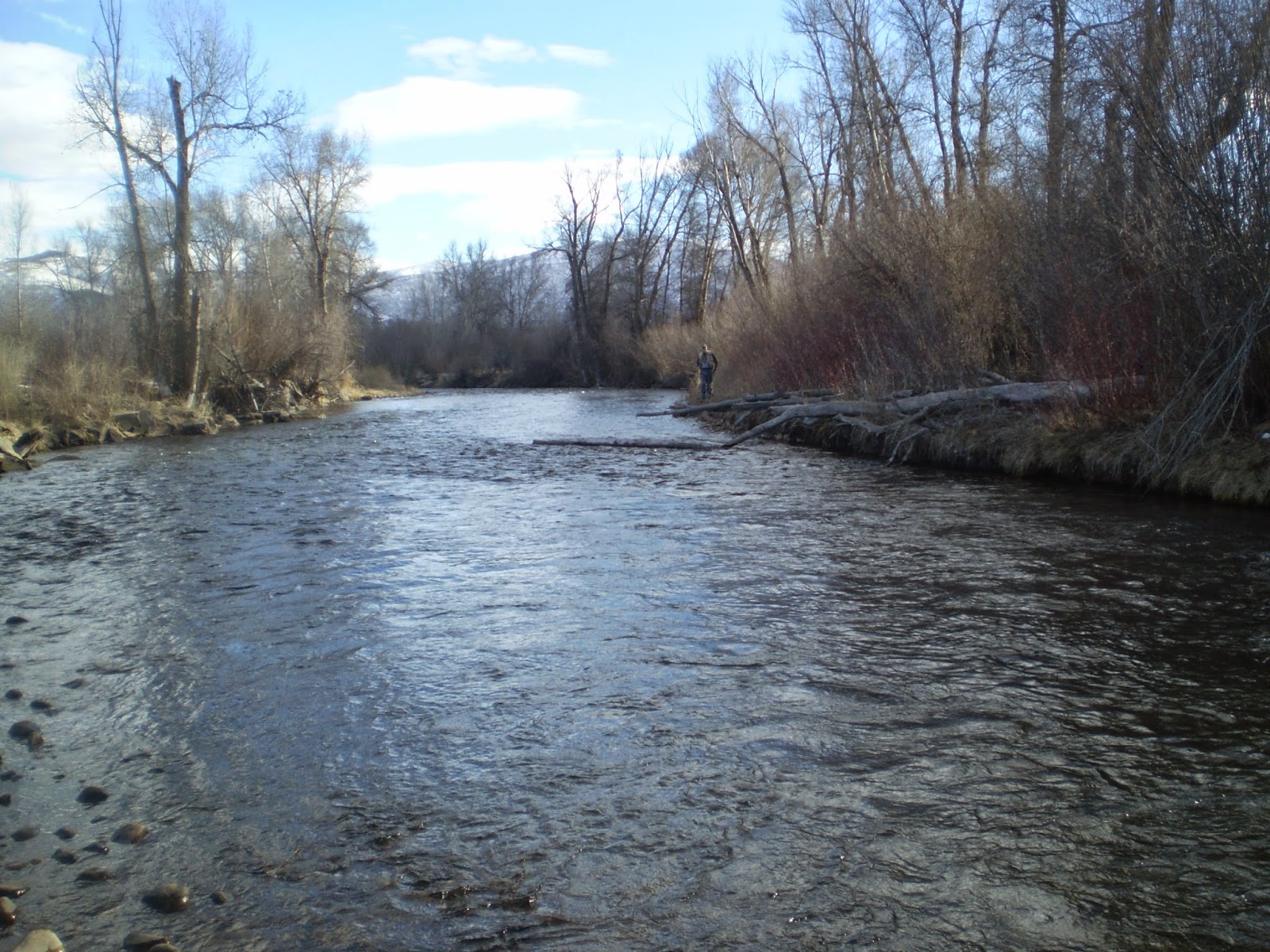 Fly Fishing the West with Howard: Fly Fishing The Lower Middle Provo River