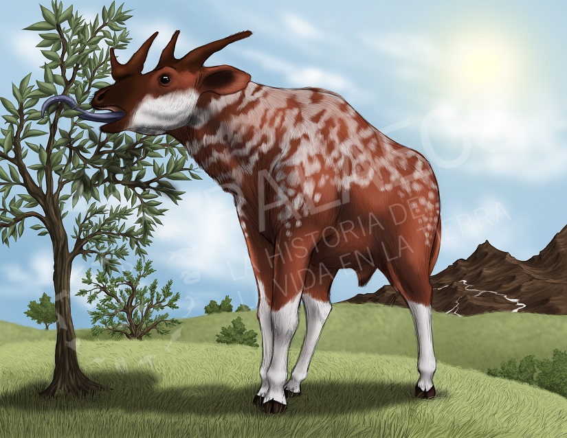 Palaeos, la historia de la Vida en la Tierra: Paleofichas