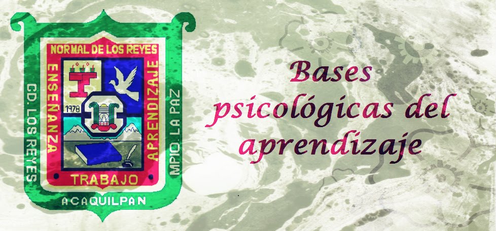 Bases psicológicas del aprendizaje Bases psicológicas del aprendizaje
