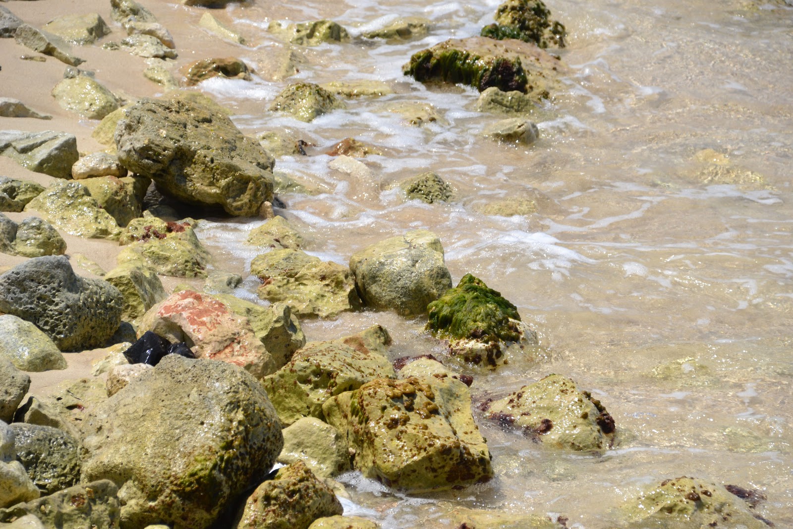 SoHo Monet: Visuals 101: Colours of Jamaica