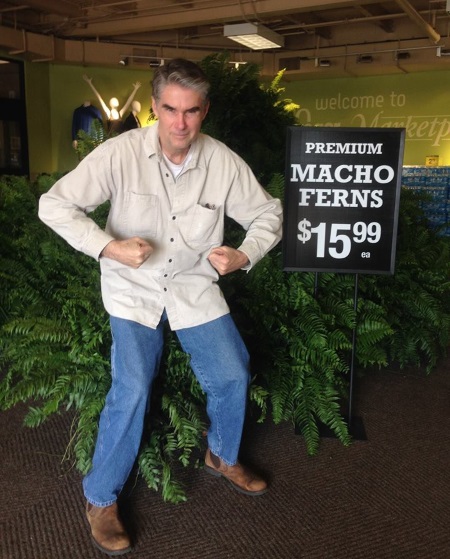 Here Comes The Flood: Jim White: new album "Waffles, Triangles & Jesus ...