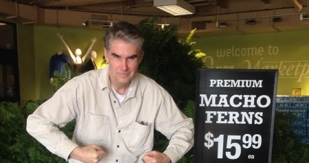 Here Comes The Flood: Jim White: new album "Waffles, Triangles & Jesus ...