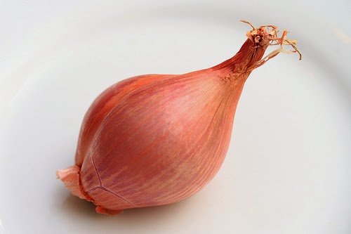 Échalotes - Shallots. One of the Most Important Herbs in the French Kitchen