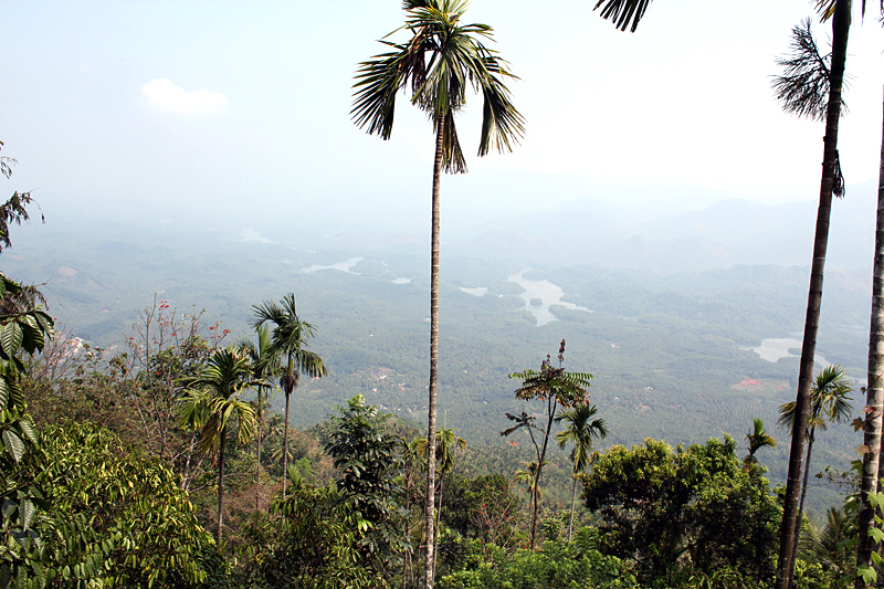 Kerala Hills: Vayalada - Balussery, Kozhikode