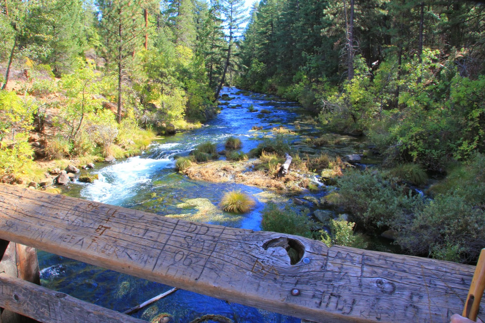 Travels with Twinkles: Pit River Casino-Burney, CA