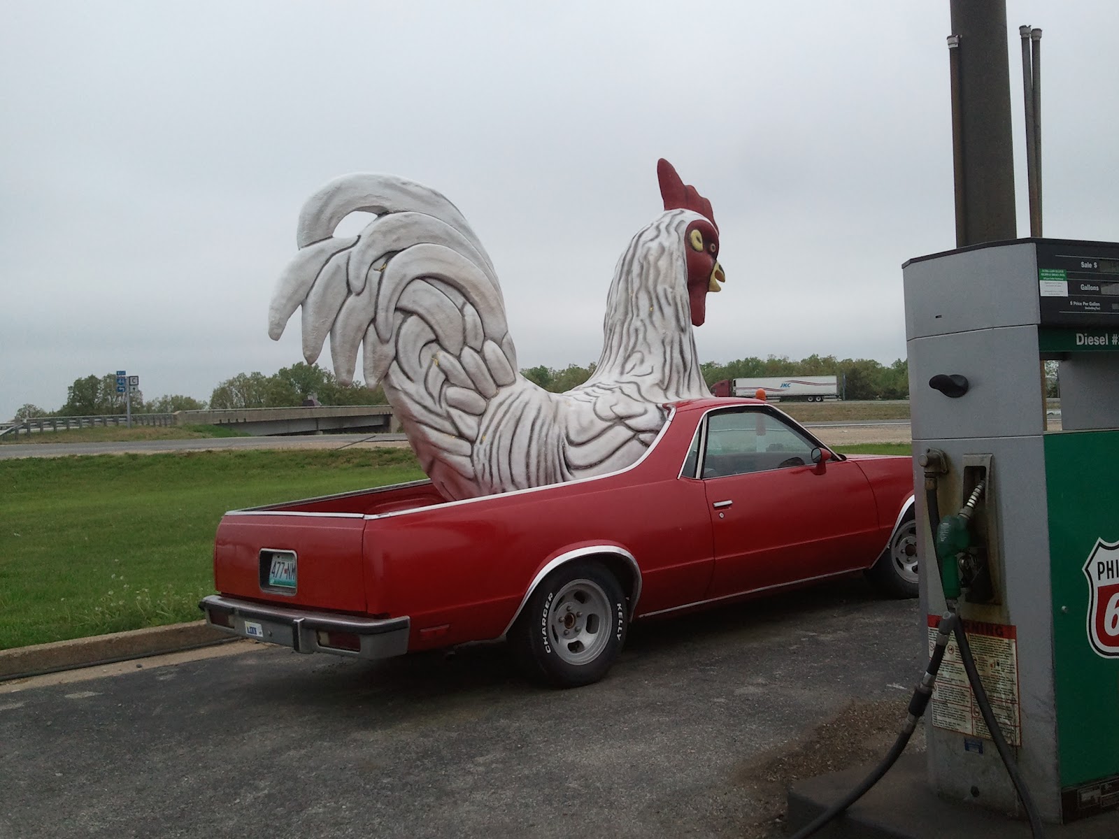 Arellano family: Chicken in a car