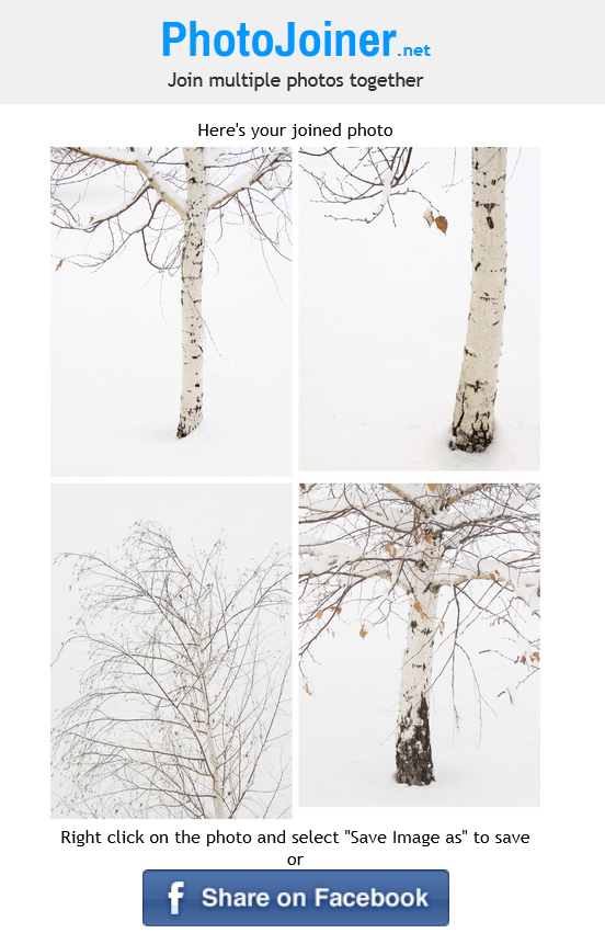 Easily Combine Multiple Photos into One: Photo Joiner