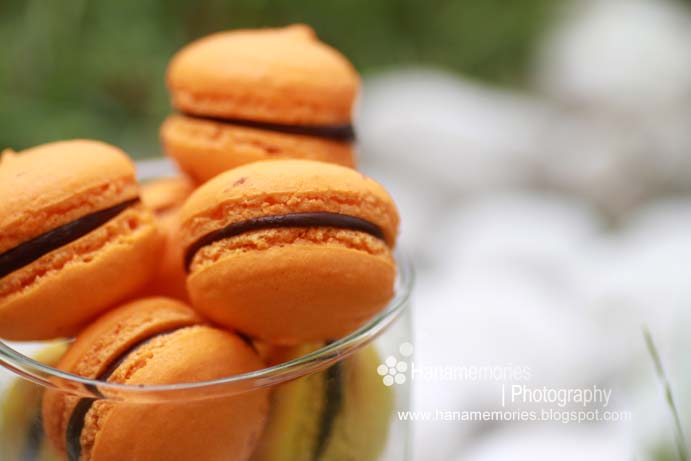 HaNa's FamiLy: Macarons