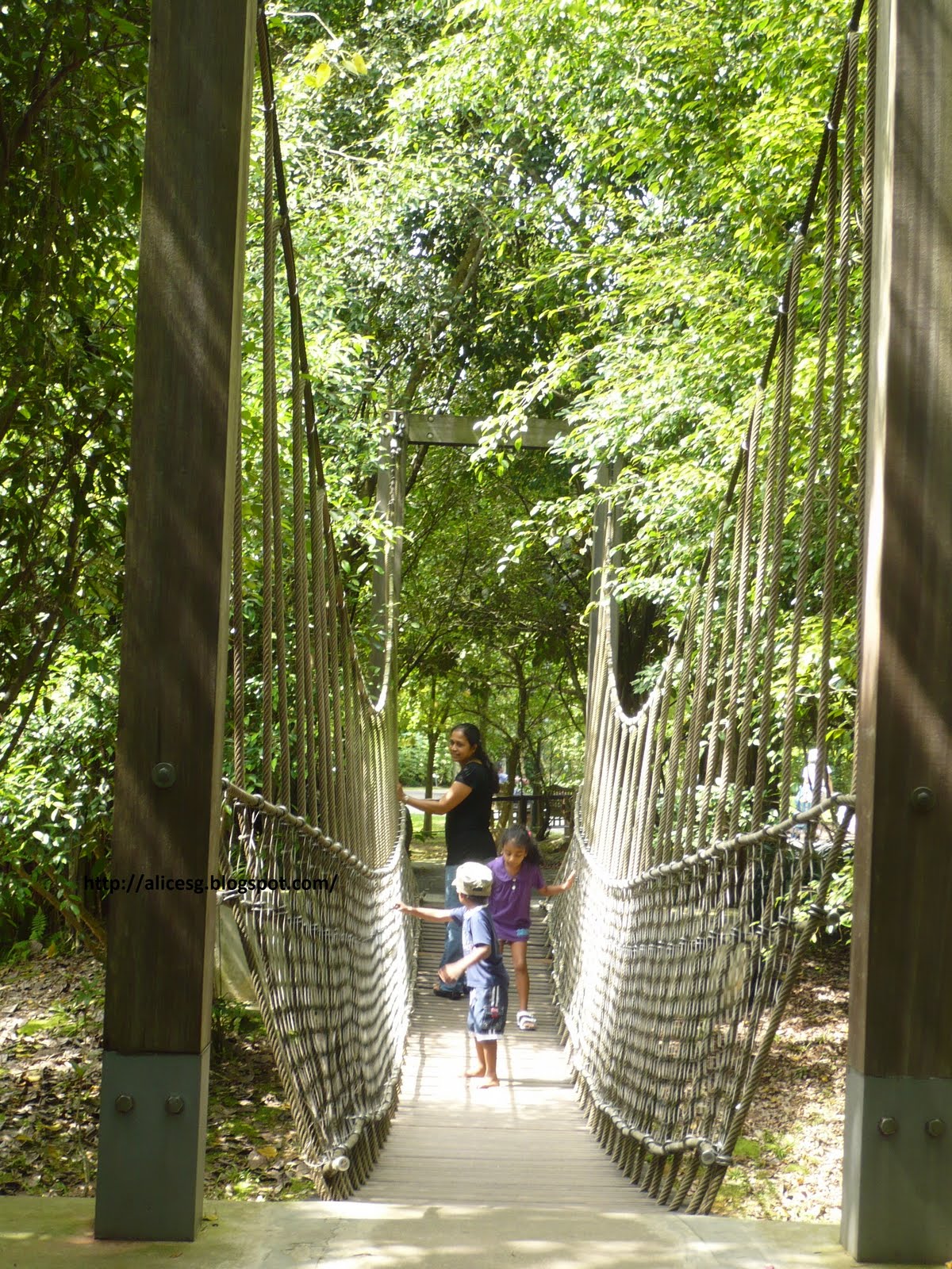 Alicesg-Singaporemyhome: Singapore Botanic Garden - Jacob Ballas ...