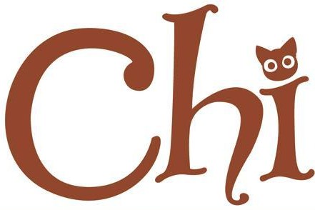 CHI une vie de chat : le volume 3 est sorti ! CHI Amuse-toi avec Chi ...