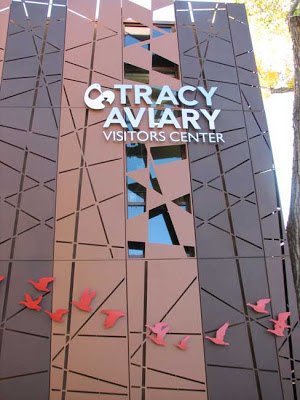 Inner Artist: Tracy Aviary