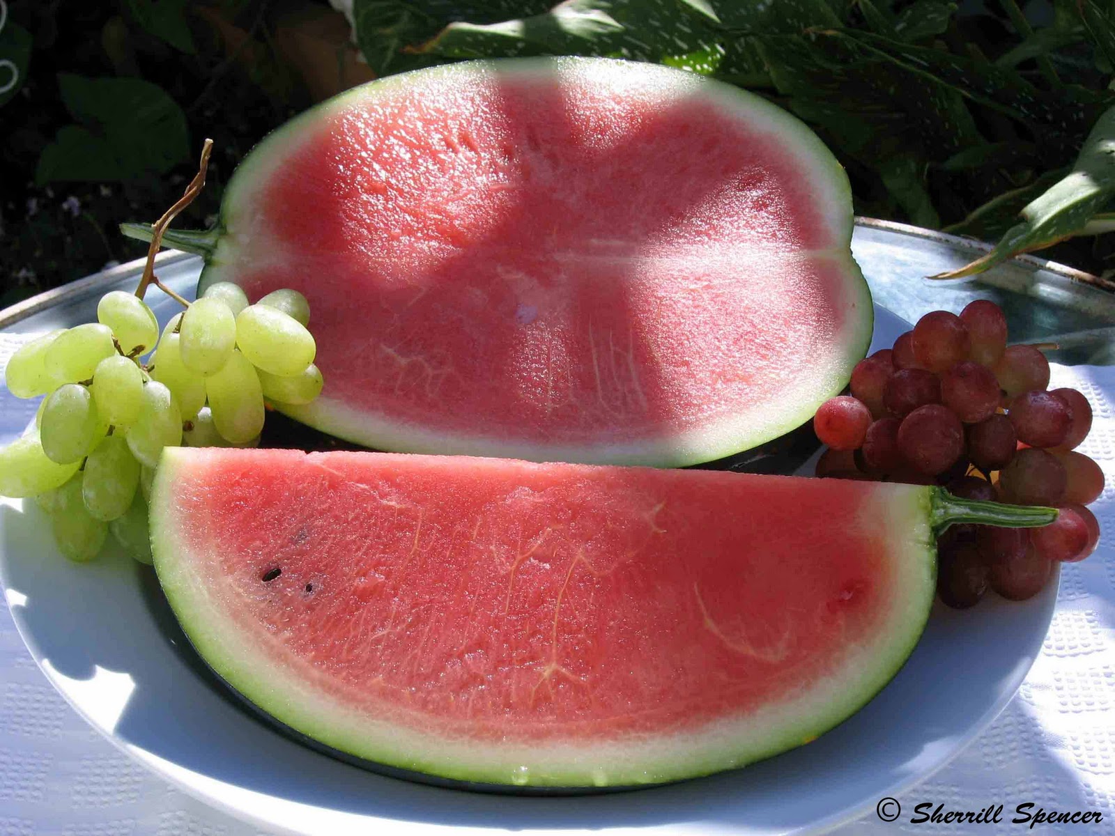 Willow's Quiet Corner: Garden Bounty