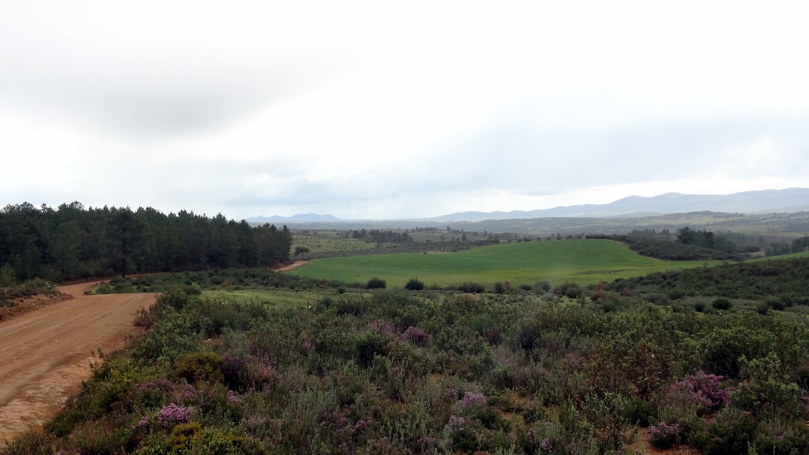 Por fragas e pragas...: Segredos e Mistérios da Marvana...