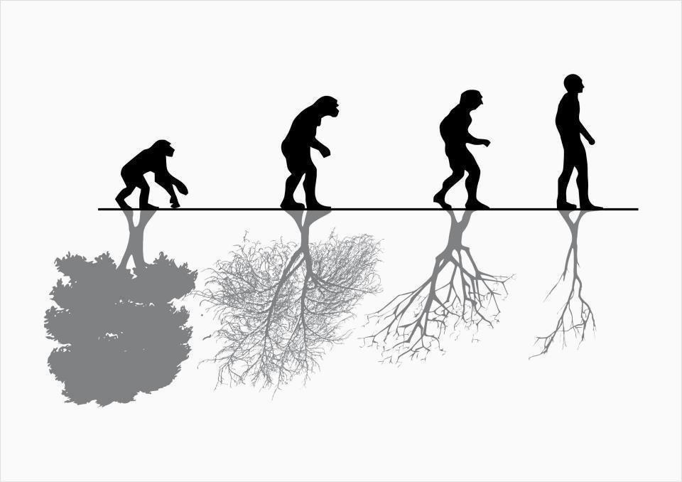 Evolucion: Evolucion y Microevolucion