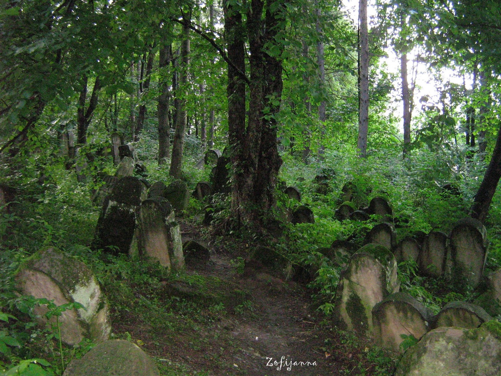 Z rakiem w tle: Ponad podziałami.