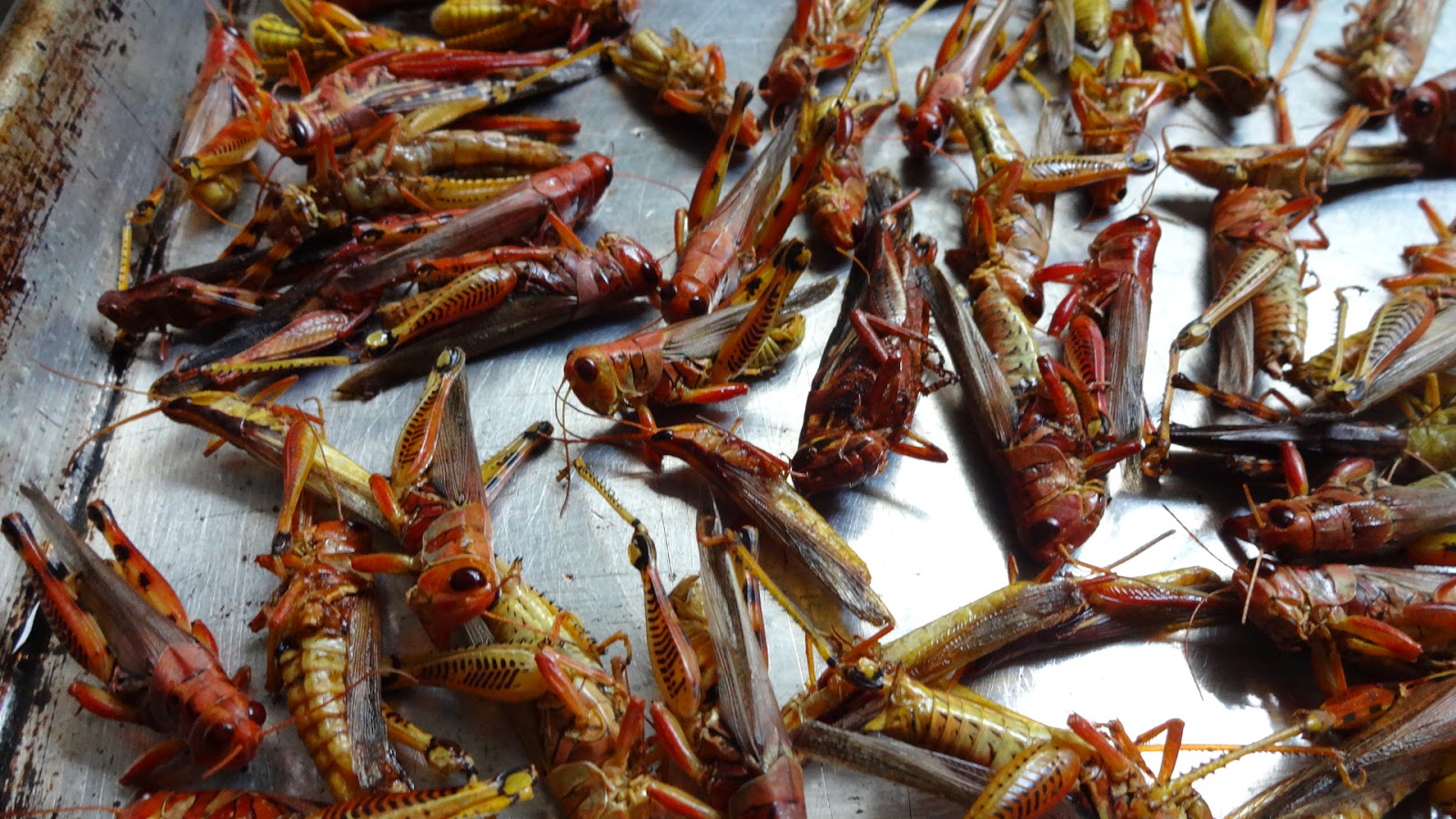 Saint John the Baptist Bread