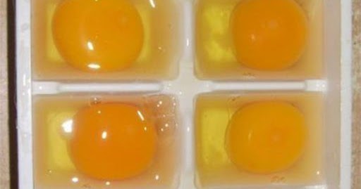 She Put Exactly 14 Eggs In Ice Cube Tray And Left It In The Freezer For ...
