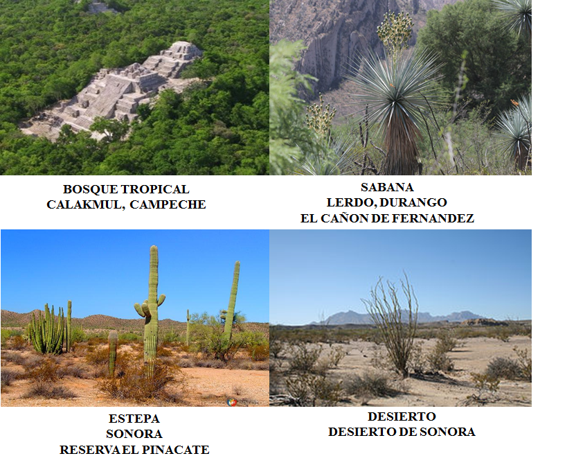 Las 5 Regiones Naturales - slingo