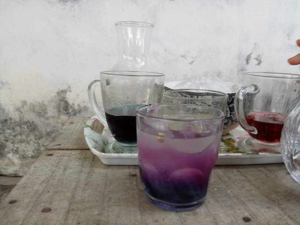 Bunga Telang Di Jogja: Cara Pembuatan Teh Biru Bunga Telang Deep Purple