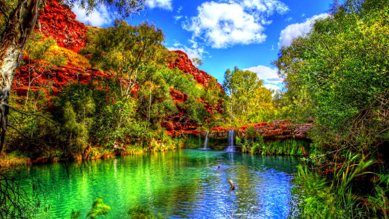 Beautiful Oasis | Wallpapers Gallery