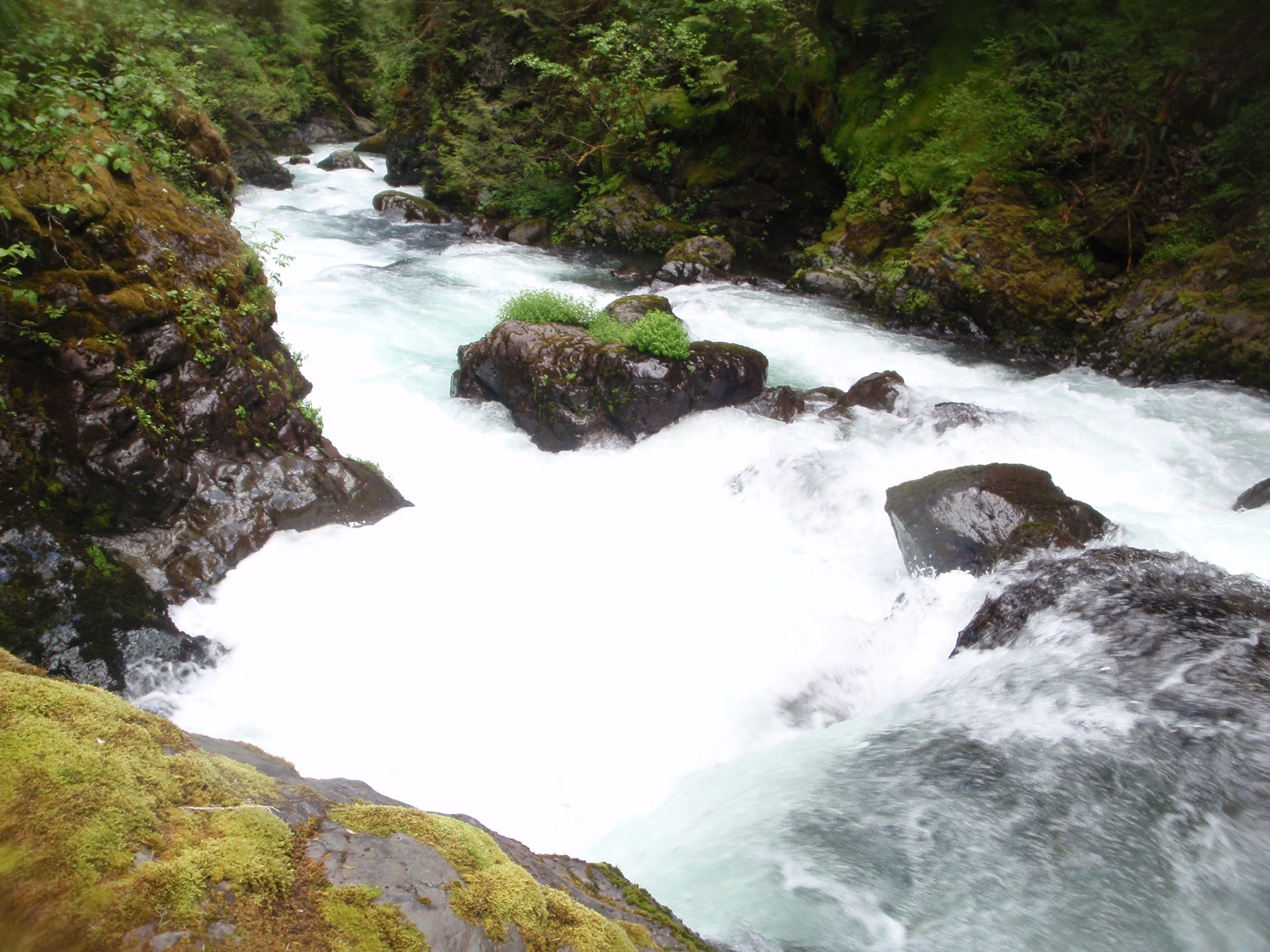 Fluid: As a lifestyle.: The Big Quilcene - Olympic Peninsula