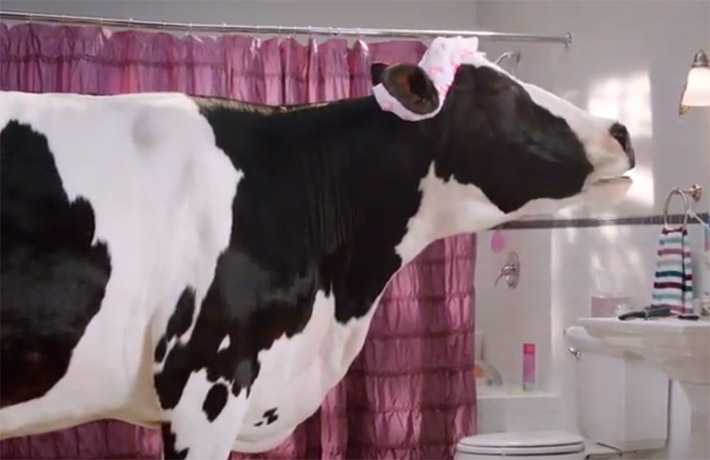 Mike's MoosRoom: September 2013