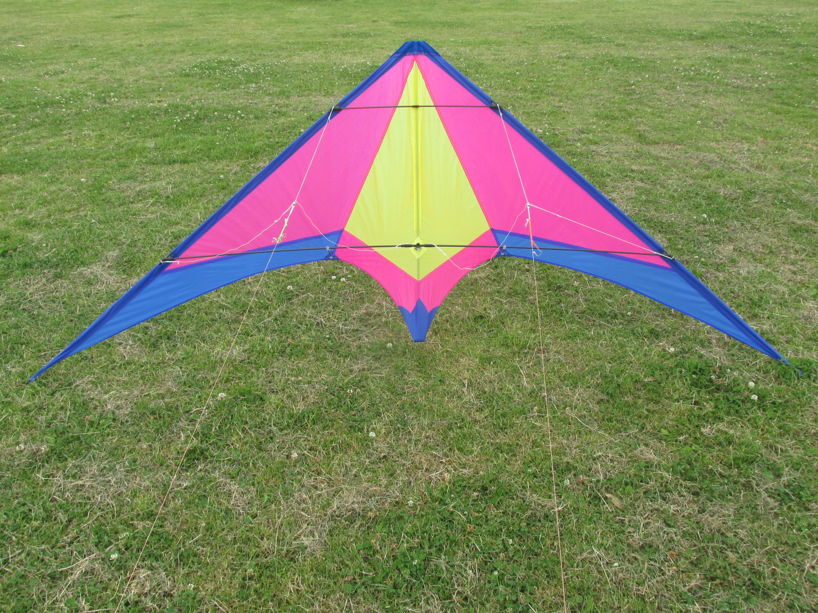 Peter Powell kites collection: Skylite (and looking for a Mustique)